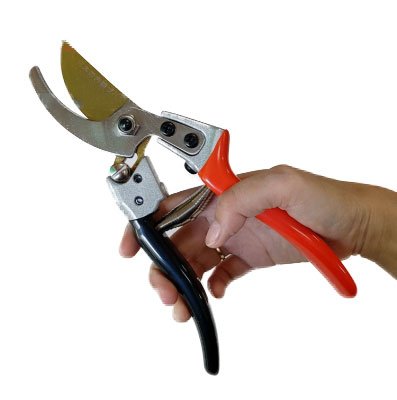 Kéo Cắt Cành Cán đỏ đen SK5 ⋆ Bình Nhi Gardening